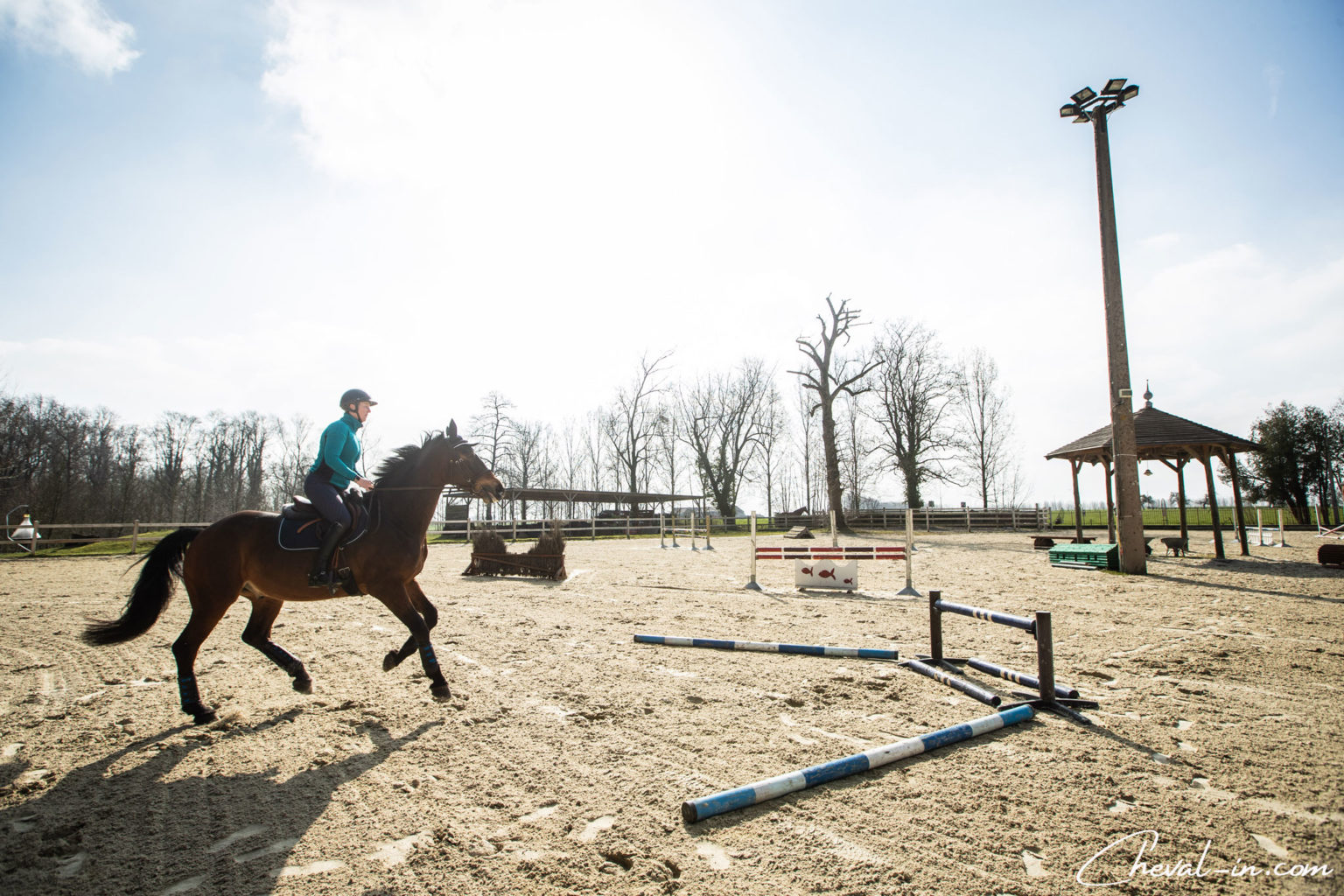 Franchir les directionnels pas à pas - Cheval-in
