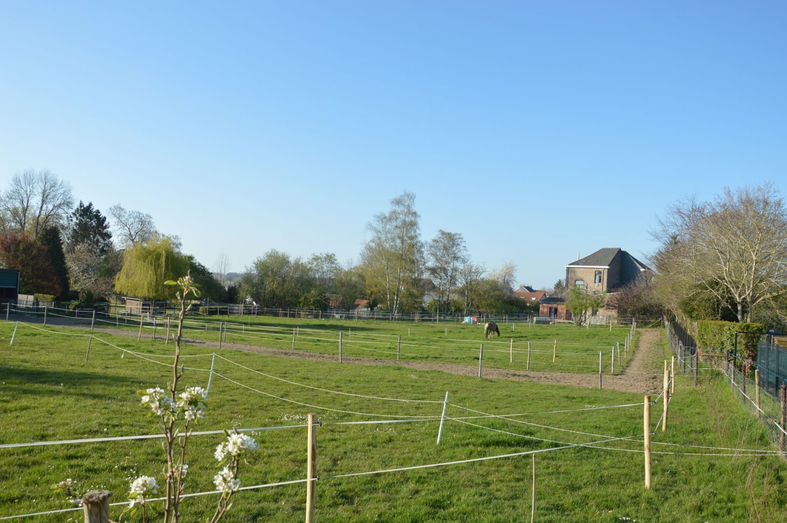 Les grands principes du pâturage tournant - Cheval-in