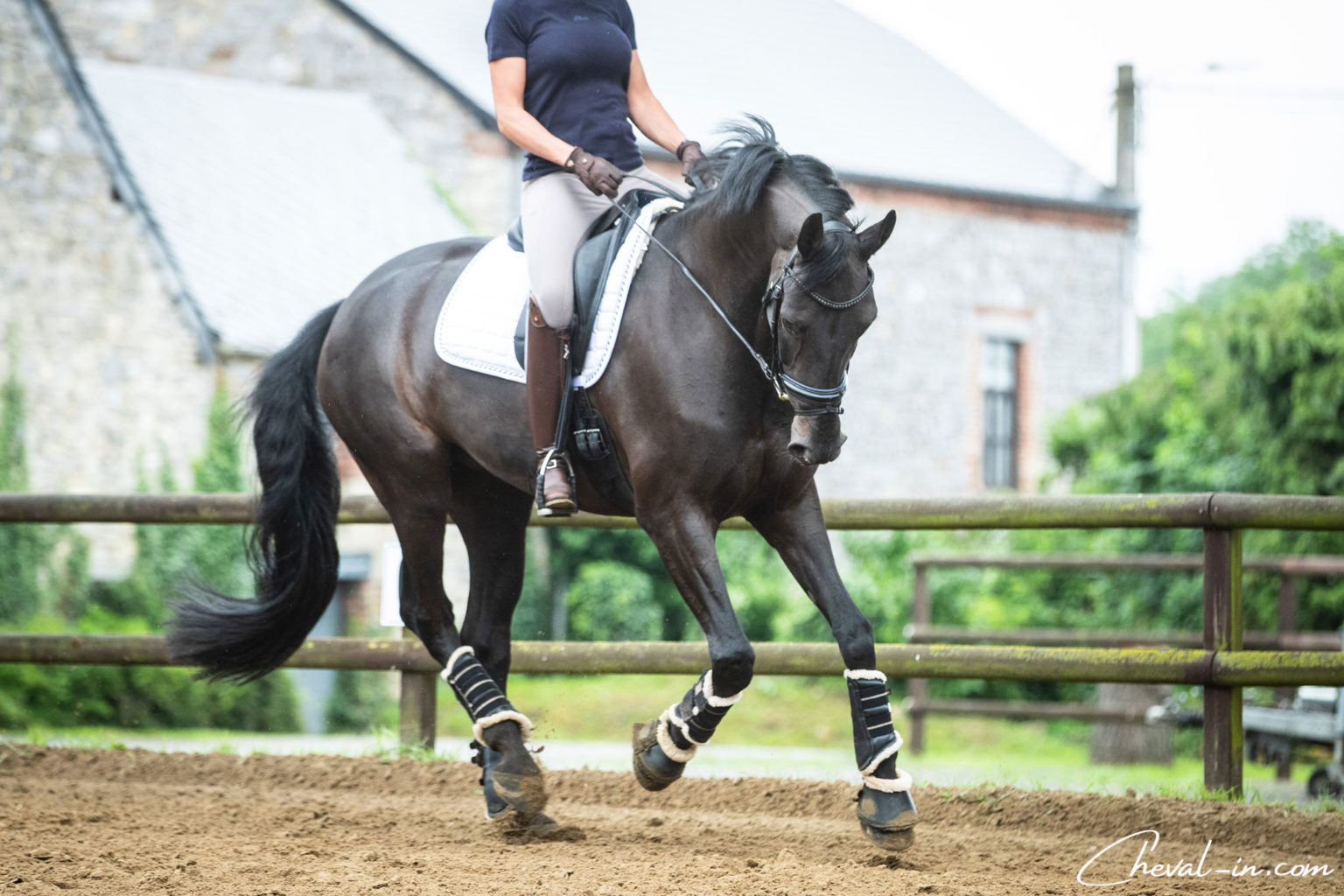 L’extension d’encolure : utilité et mode d’emploi - Cheval-in