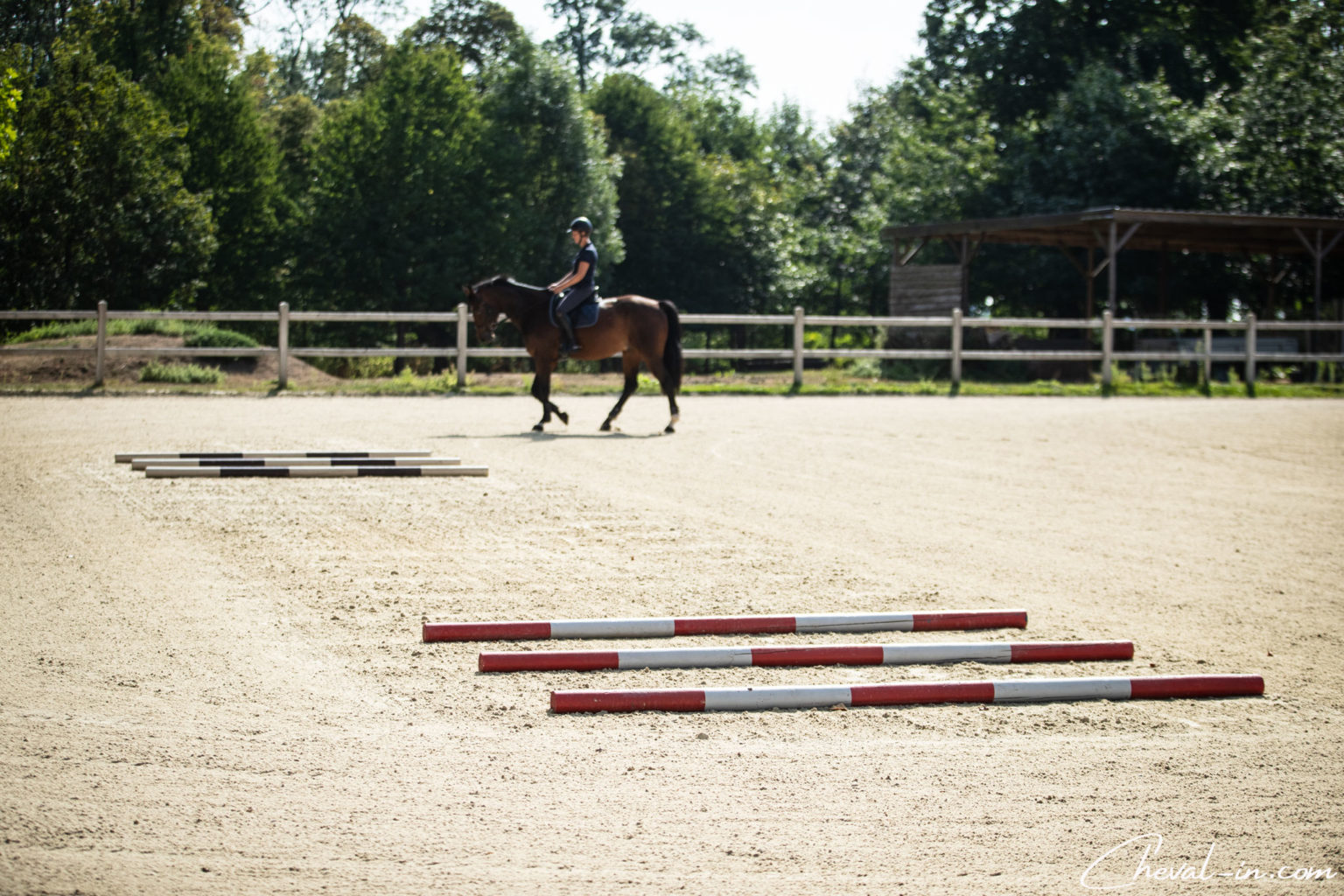 Trois exercices pour améliorer les transitions grâce aux barres au sol - Cheval-in