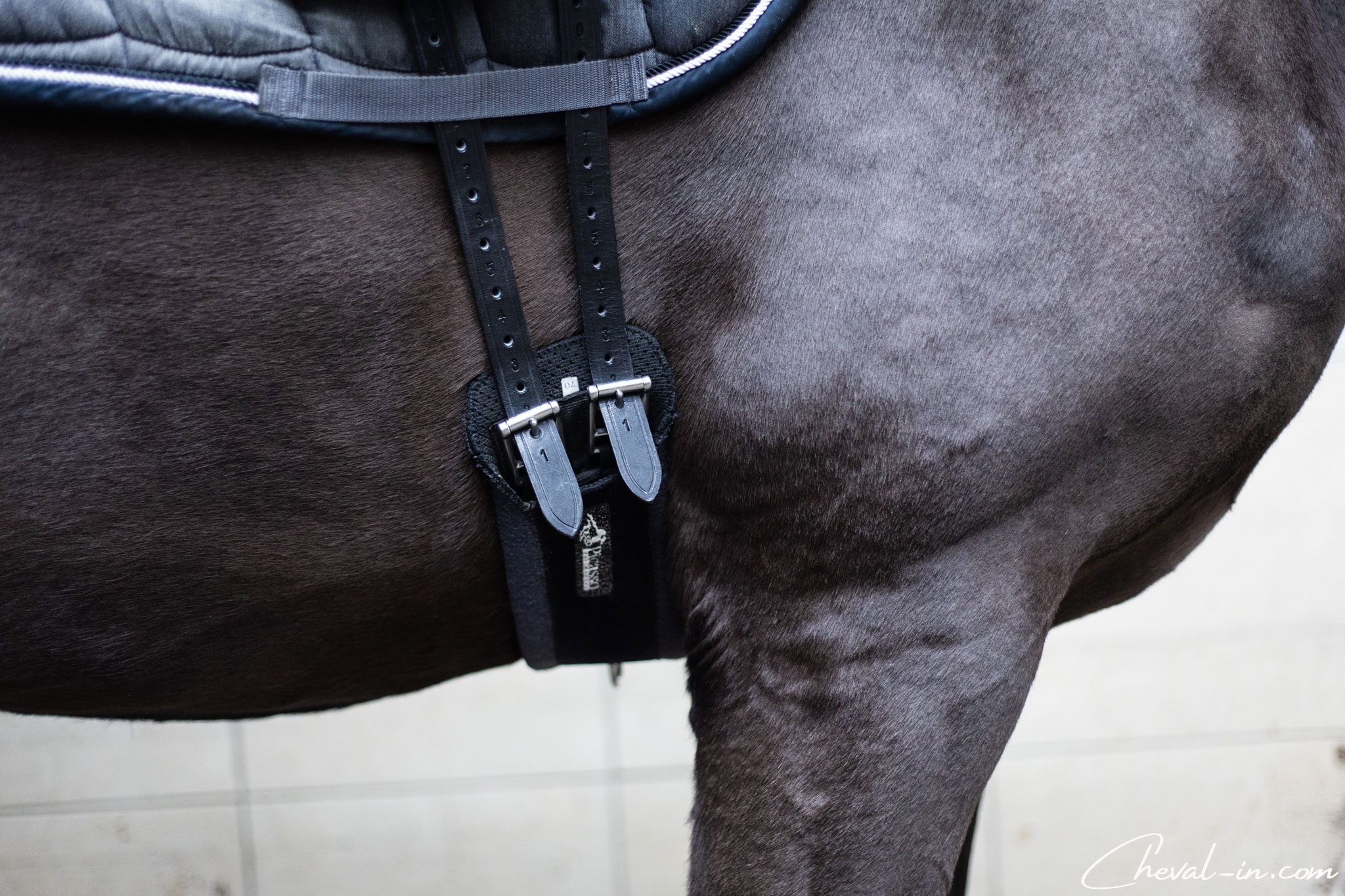 Quelle sangle choisir pour le confort de son cheval ? - Cheval-in