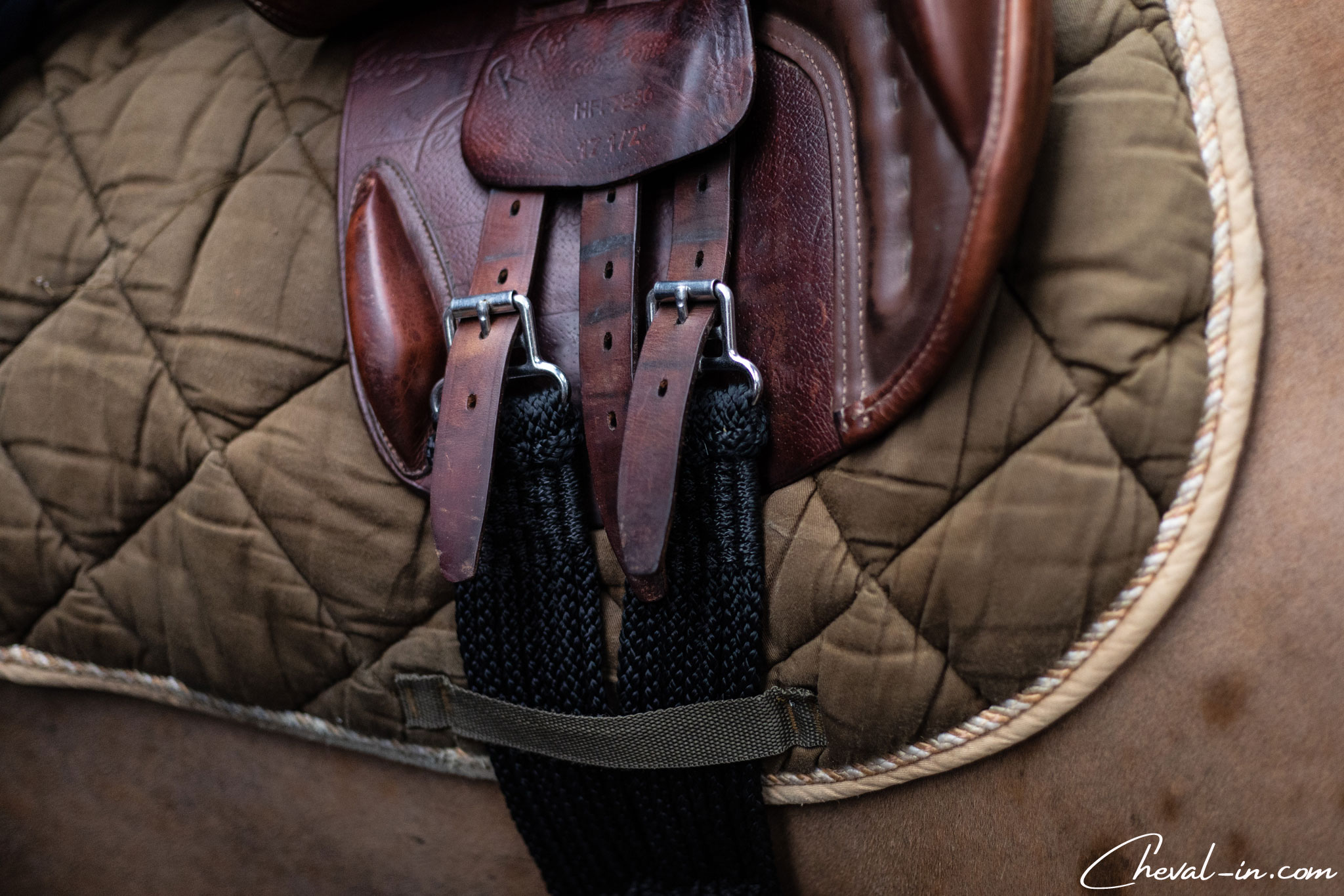 Quelle sangle choisir pour le confort de son cheval ? - Cheval-in