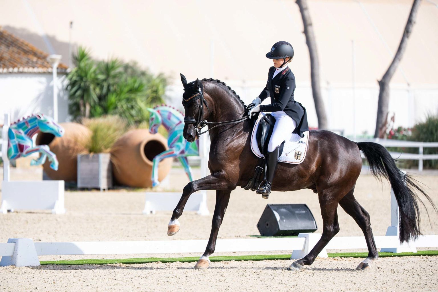 Dressage : 10 astuces pour réussir sa reprise en concours - Cheval-in