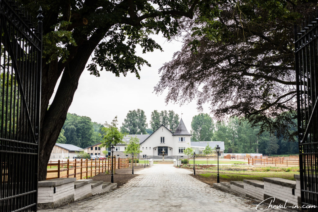 Coulisses | En visite dans la nouvelle clinique Equitom à Namur - Cheval-in