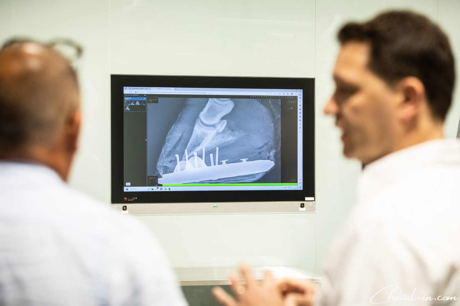 Coulisses | En visite dans la nouvelle clinique Equitom à Namur - Cheval-in