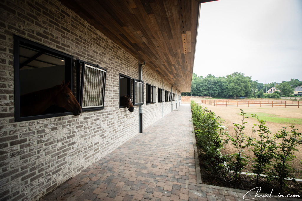 Coulisses | En visite dans la nouvelle clinique Equitom à Namur - Cheval-in